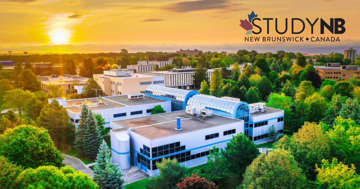 Study in NB | Study NB | Where Education Meets Innovation